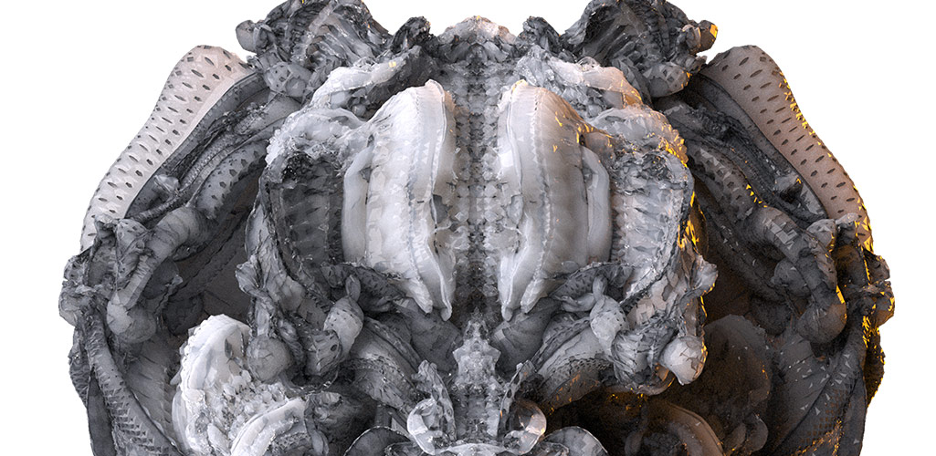 Michael Hansmeyer - Digital Grotesque Surface Studies